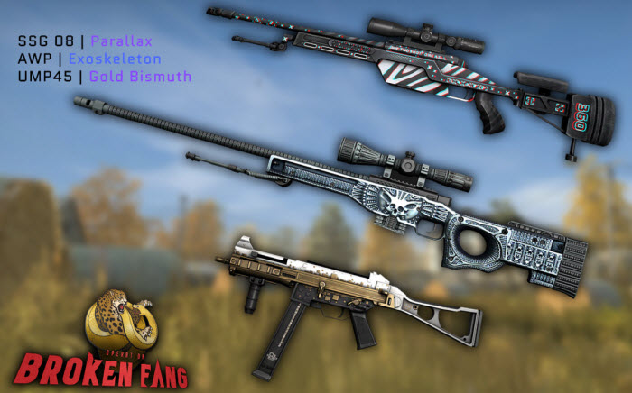 เคสและสกินอีสปอร์ตของ Operation Broken Fang จะถูกยกเลิกหรือไม่